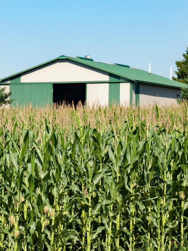Quality Farm Building Construction | Wisconsin Restoration
